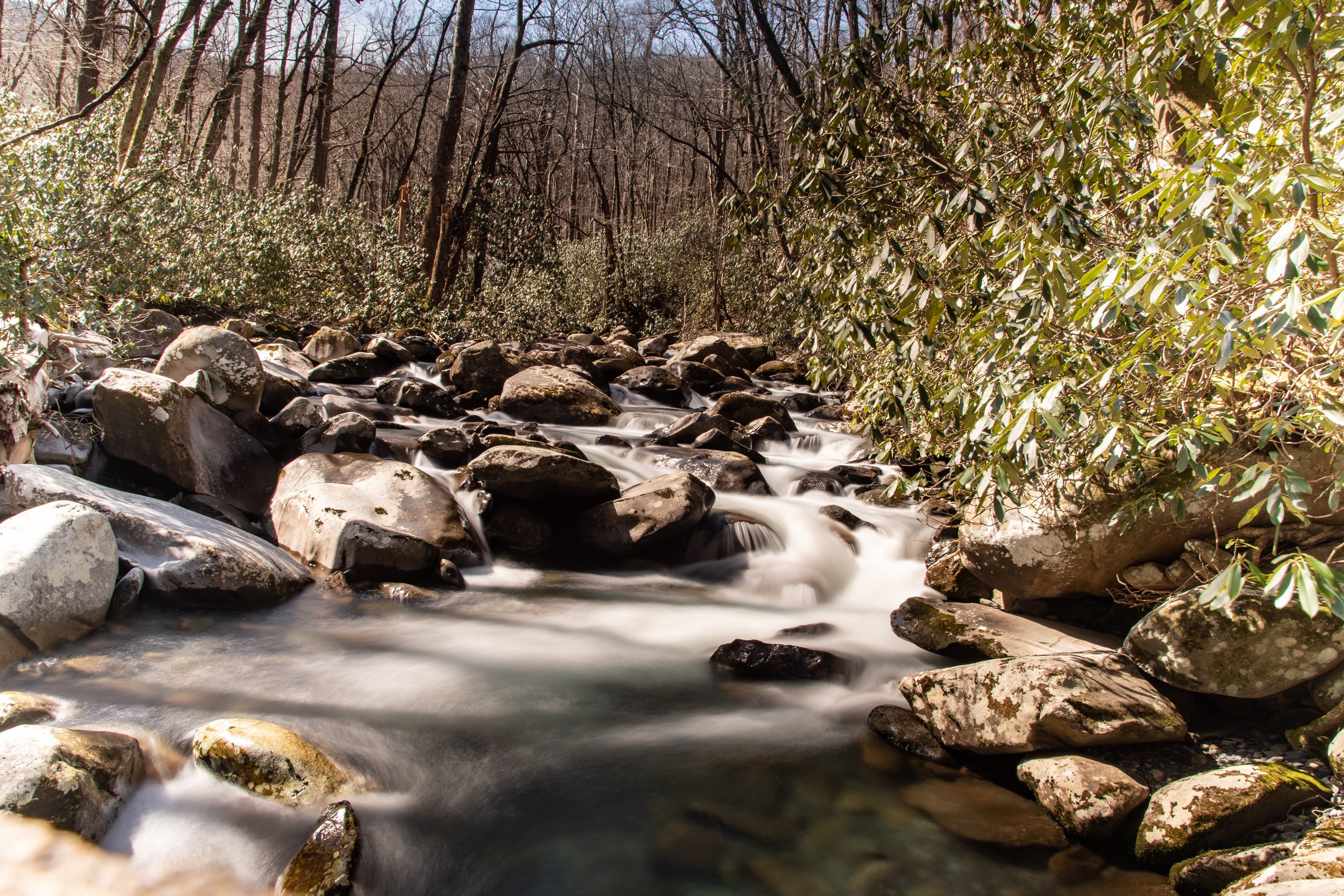 Mynatt Park is a Hidden Gem in Gatlinburg